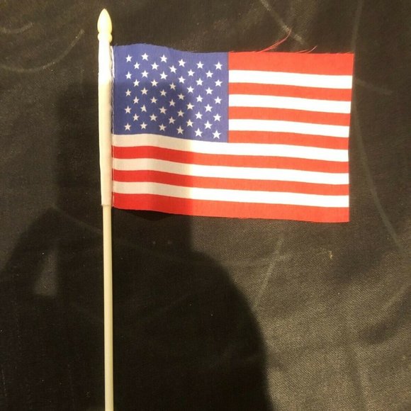 Holiday | Bundle Of 12 Mini American Flags | Poshmark